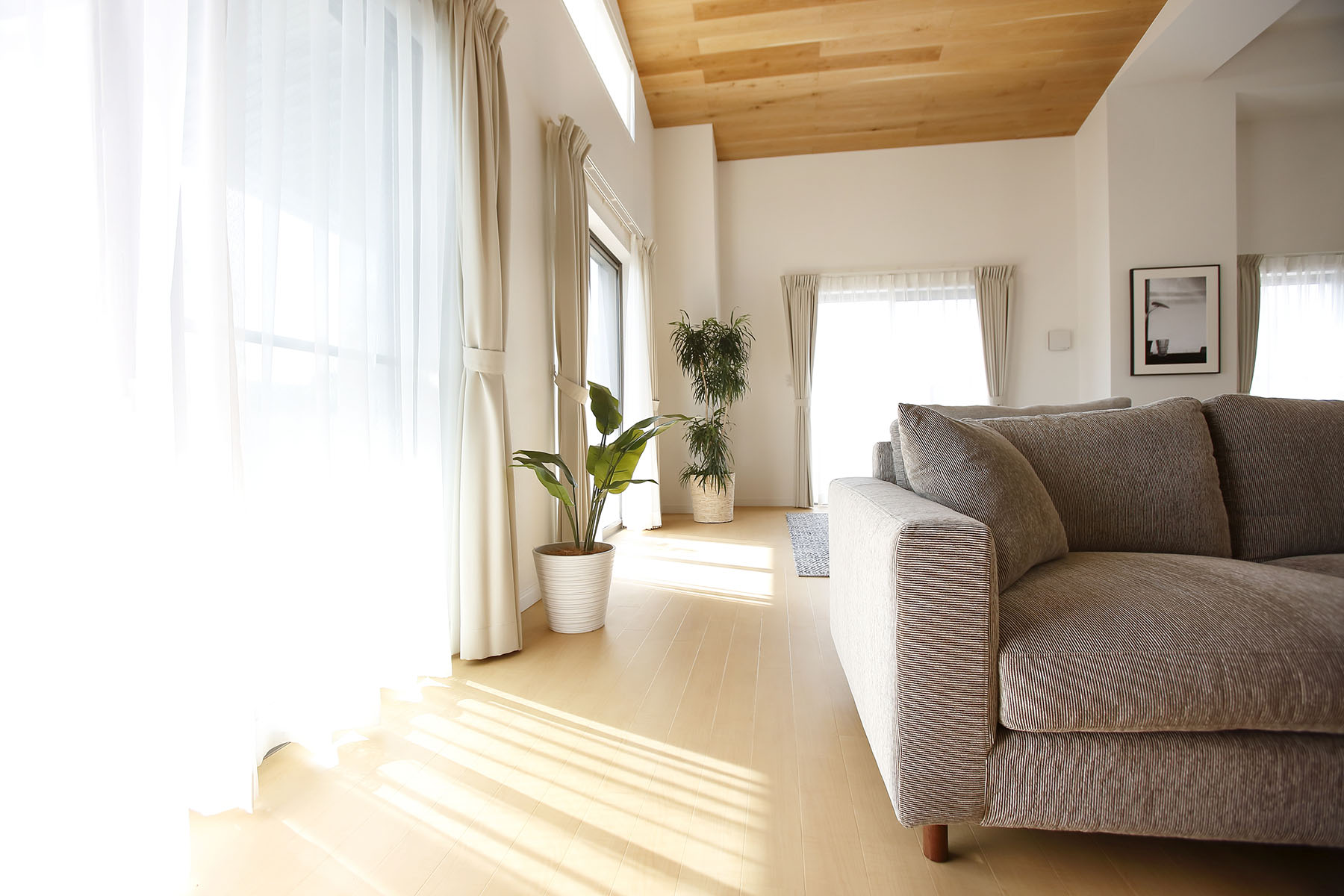 ECOLO D-ONE STUDIO | 東京都世田谷区の撮影スタジオ エコロ予約センター 03-5760-7977